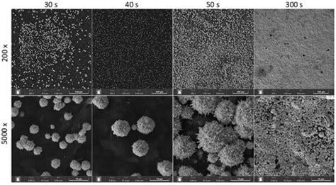 Portable Electrochemical Immunosensor Based On A Gold Microblobs Optimized Screen Printed