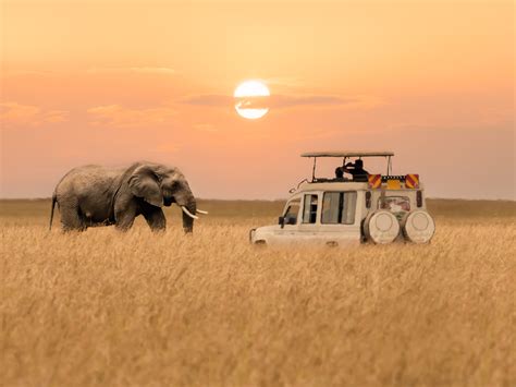 Safari Photographs Of Africa S Greatest Wildernesses The Greatest