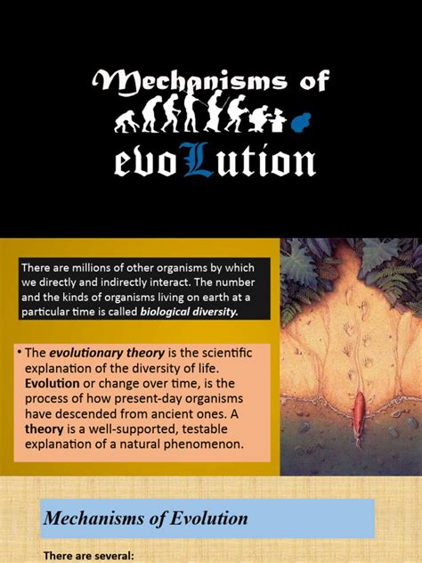 Evolution Pdf Mutation Evolution