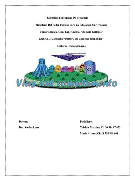 El Sistema Del Complemento Pdf Sistema Complementario Sistema Inmune