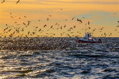 Inshore: Striper Jigging 101 - The Fisherman