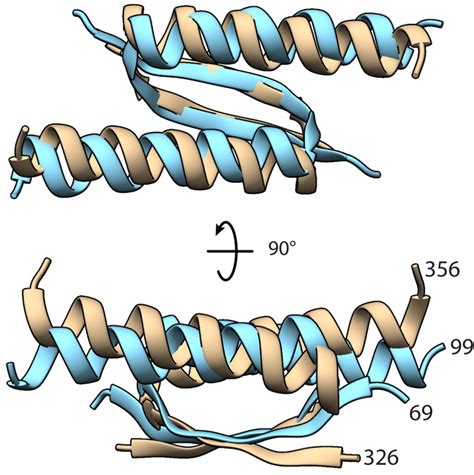 Comparison Of Ctds Of Kora Blue And Dimerizationtetramerization Download Scientific Diagram