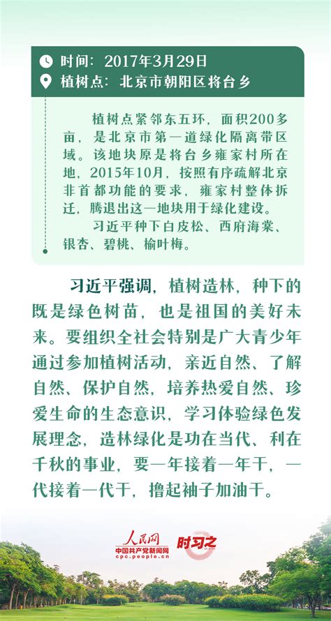 绘出美丽中国的更新画卷 与总书记一起厚植绿色未来 安青网