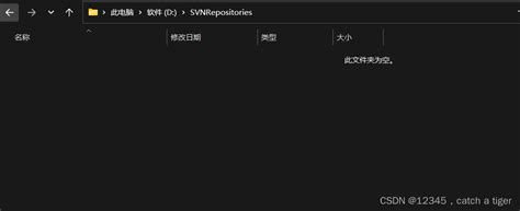 Svn服务器环境部署svn部署到服务器 Csdn博客