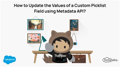 Salesforce How To Update The Values Of A Custom Picklist Field Using Metadata Api Forcetalks
