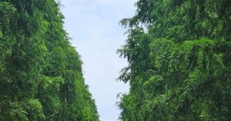 진주 대한민국 정원산업박람회화창한 휴일에 행사장 북적