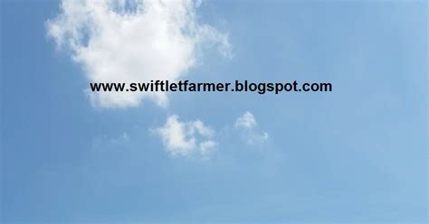 Swiftlet Farming Swiftlets Farming Equipments Edible Birds Nest And