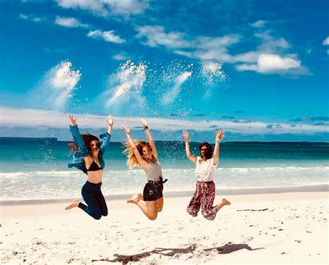 Jervis Bay Dolphin Cruise Ausventure Travel
