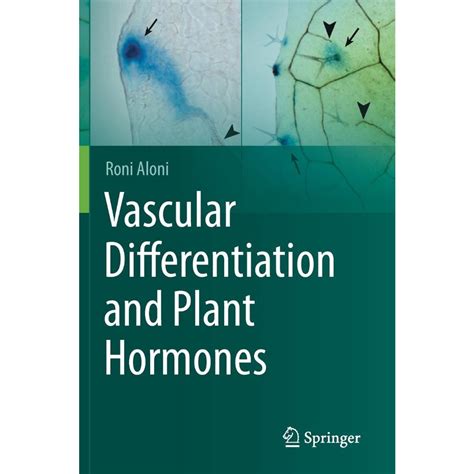Vascular Differentiation And Plant Hormones Em Promoção Na Americanas
