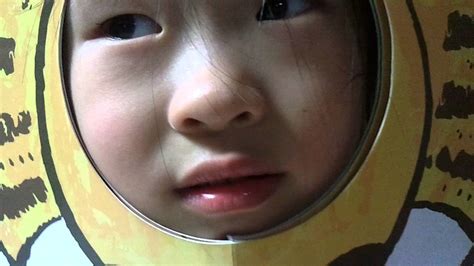 귀여운 한반도 호랑이 Youtube