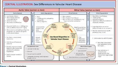 Figure 1 From Sex Differences And Similarities In Valvular Heart