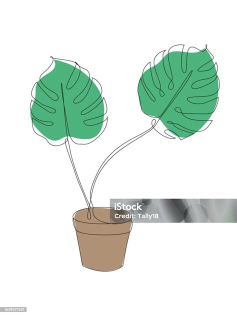 화분에 식물의 연속 한 줄 몬스테라 리프 라인 아트 열대 잎 한 줄 그리기 열대 몬스테라 잎 단 하나 1개의 선 잎 몬스테라 개요 스케치 0명에 대한 스톡 벡터 아트 및
