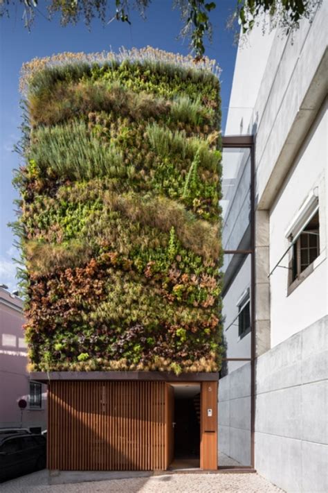 Aménagement Paysager Moderne 100 Idées De Design Jardin Paysager