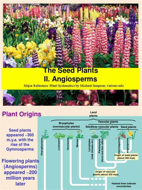 The Seed Plants Ii Angiosperms Major Reference Plant Systematics By