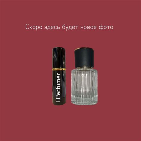 I Perfumer (стойкое парфюмерное масло женское мужское) Man In Black B ...