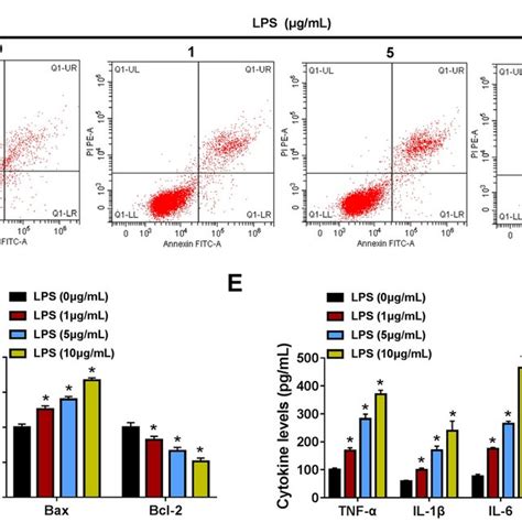 Effects Of Lps On Cell Viability Apoptosis Inflammation In Hk2 Cells