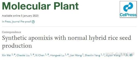 Mol Plant 中国水稻所王克剑团队建立正常结实率杂交水稻无融合生殖体系 知乎