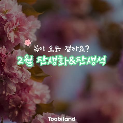 2월의 탄생화 And 탄생석 이제 봄이 오는 걸까요 네이버 블로그
