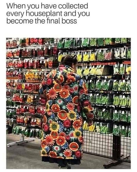 Plant Memes 20 20250331 Thunder Dungeon The Funniest Memes Period