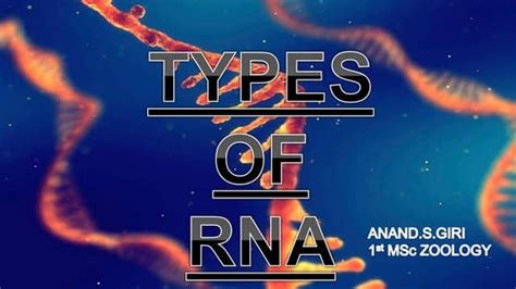 Secondary And Tertiary Structure Of Rna Pptx