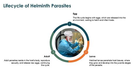 Top 10 Parasitology PowerPoint Presentation Templates In 2025