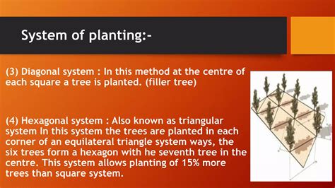 System Of Planting And Types Pptx
