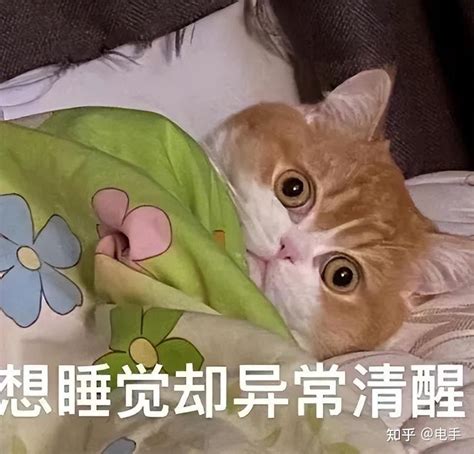全球升级 win11送官方u盘，微软使出钞能力 知乎