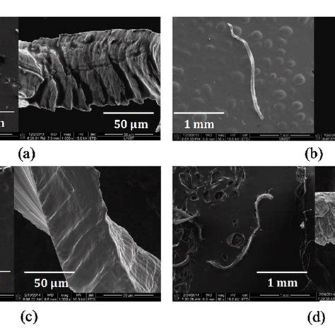 Chip Morphology With A Dry Machining B Cryogenic Machining C Download Scientific