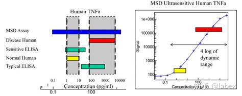 Msd超敏电化学发光技术介绍及其应用 知乎