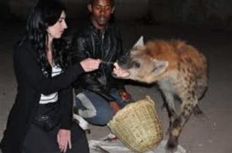 Zehabesha For Latest Ethiopian News Video And Analysis Get The Best