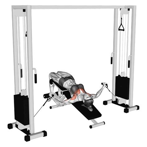 Incline Bench Cable Fly Muscles Worked And More Inspire Us