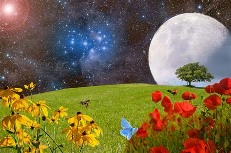 Super Blood Blue Moon Vibration Blog