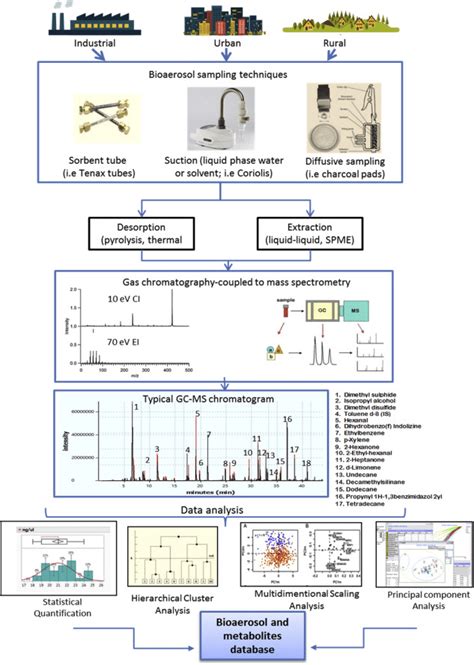 Schematic Representation Of Different Sampling Techniques Depending On