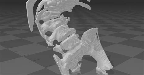 Spine By Paweł Ozga Download Free Stl Model