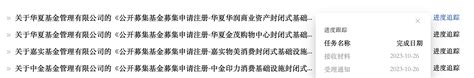 重磅！首批4单消费基础设施reits获受理 证券日报网