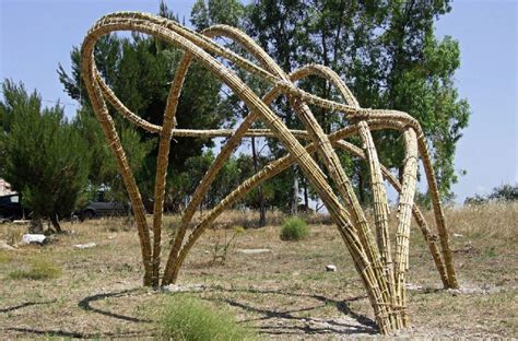 Costruire Con La Canna Palustre Teknoring