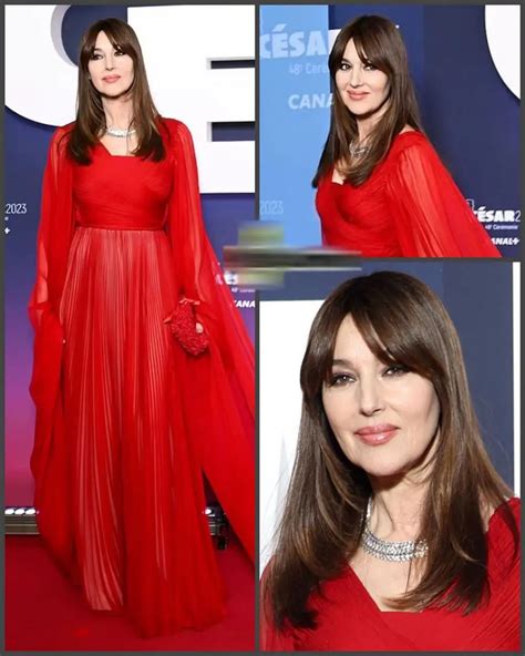 مقایسه عکس و استایل های گلشیفته فراهانی با مونیکا بلوچی تفاوت دختر