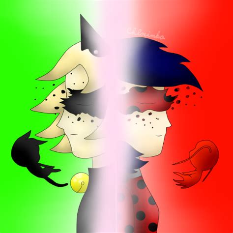 Miraculous Ladybug Transform By Chloeinka On Deviantart