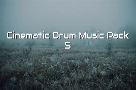 Cinematic Drum Pack 5 Orchestral Music Unity Asset Store