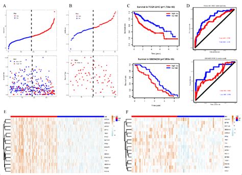 Survival Analysis With The RBP Based Prediction Model In The TCGA And
