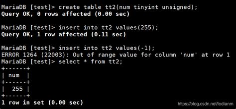 Mysql中的数据类型decimal42 Csdn博客