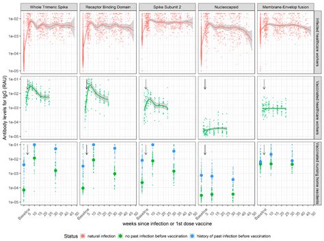 Viruses Free Full Text Kinetics Of The Sars Cov 2 Antibody Avidity