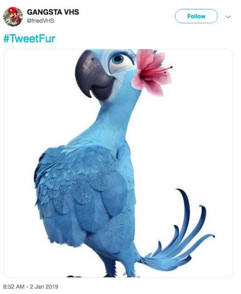 New Meme Waifu Tweetfur