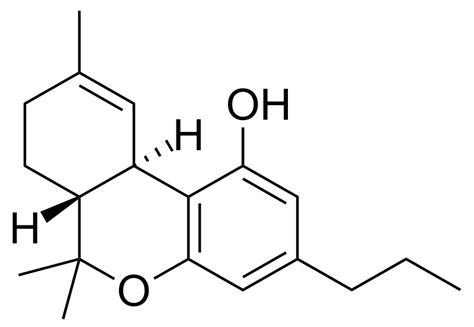 Chemical Makeup Of Thc Mugeek Vidalondon