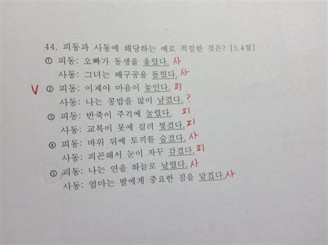 국어 피동사동 예문 질문 지식in