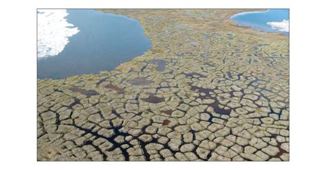 High Methylmercury In Arctic And Subarctic Ponds Is Related To Nutrient