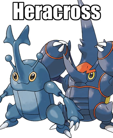 Let S Talk About Pokemon Lets Talk About Pokemon Heracross