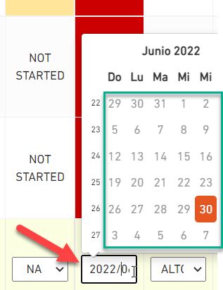 jsGrid Datepicker deshabilite escribir el día en el selector de fechas