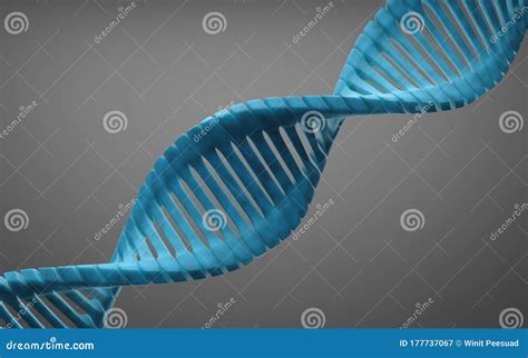 Digital D Model Of Dna Structure D Rendering For Background Stock